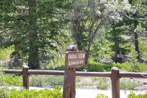 Bryce Canyon National Park and hoodoos, Paria Point