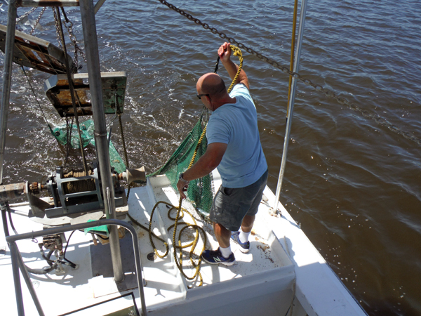 Shrimping in Biloxi, Mississippi