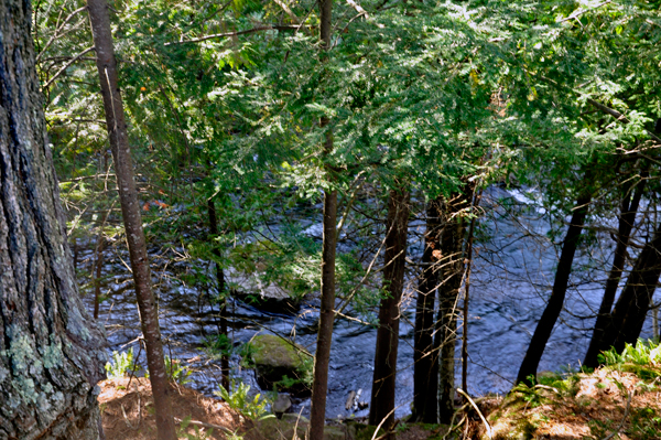 The two RV Gypsies at Agate Falls in Michigan