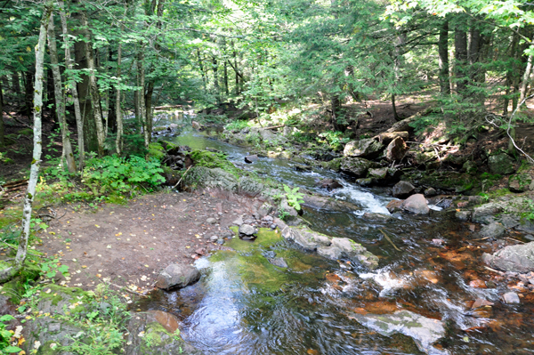 Overlooked Falls in the Porcupine Mountains