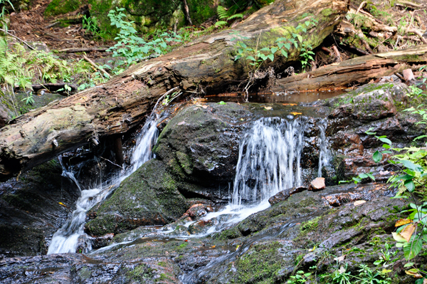 Overlooked Falls in the Porcupine Mountains