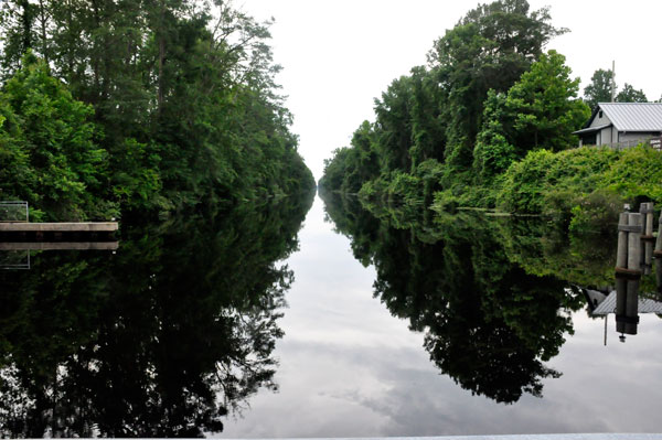 Dismal Swamp State Park and the famous Black Waters in NC