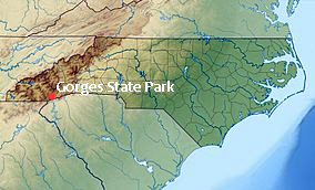 Gorges State Park in Sapphire NC