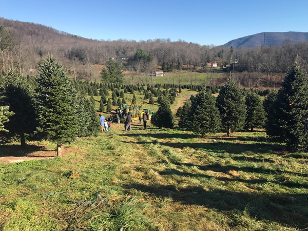 The Two RV Gypsies and family at Frostys Tree Farm in North Carolina