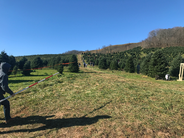 The Two RV Gypsies and family at Frostys Tree Farm in North Carolina