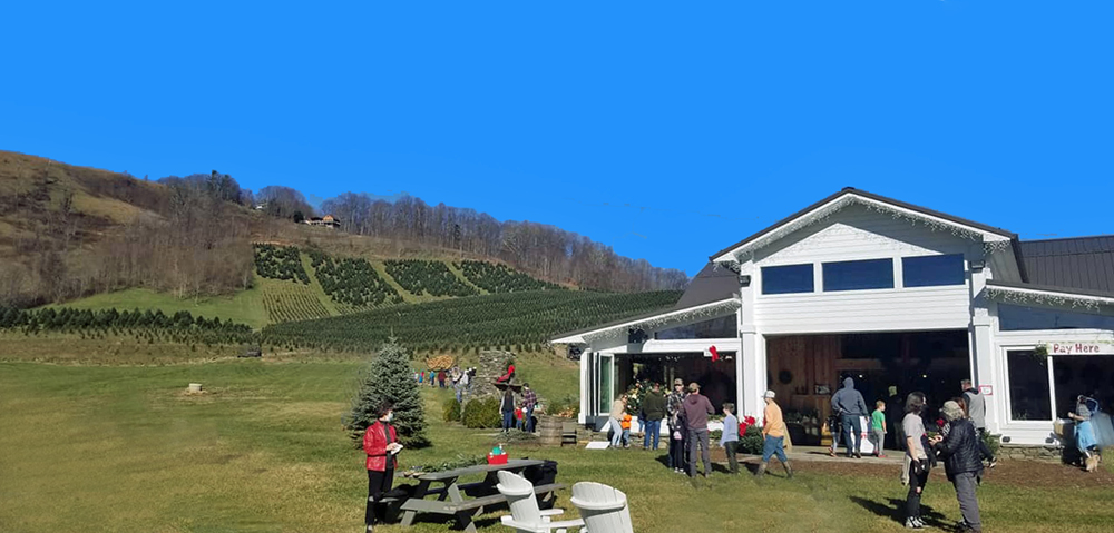 The Two RV Gypsies and family at Frostys Tree Farm in North Carolina