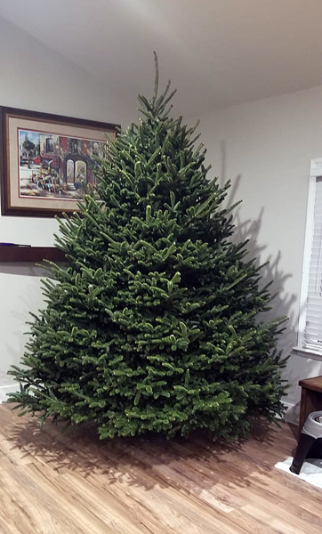 The Two RV Gypsies and family at Frostys Tree Farm in North Carolina