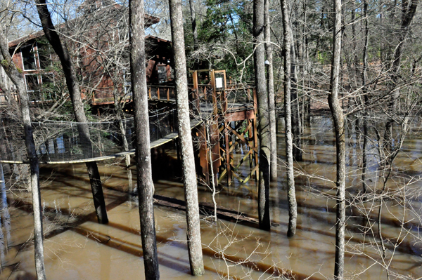 The Two RV gypsies at Tree Top Canopy Walk