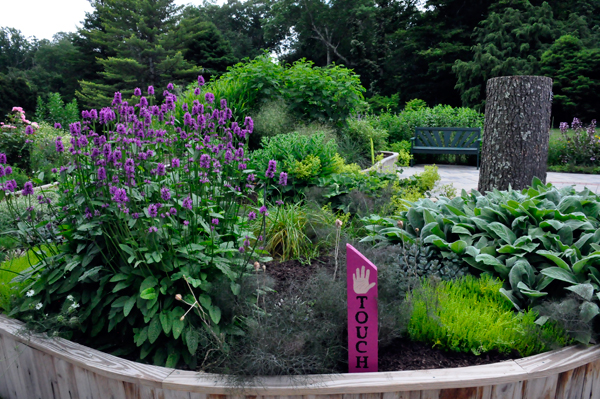 Bartlett Arboretum and Gardens in Stamford CT