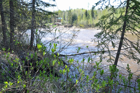 Two RV Gypsies in Canada - Hixon BC